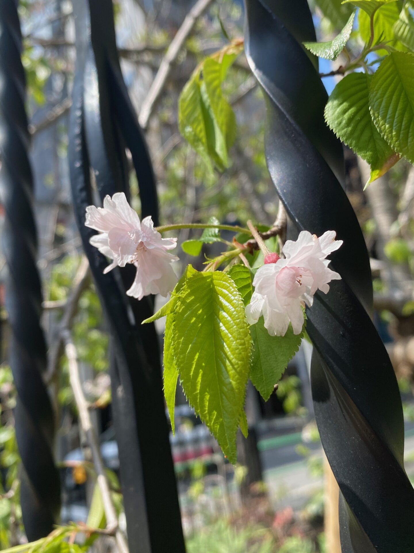 BLOG – 株式会社オフィス201